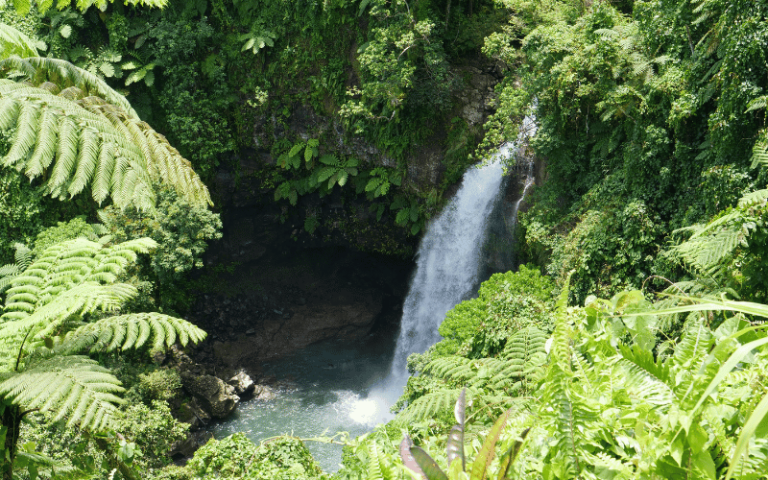 Top 10 Waterfalls to Visit in Fiji