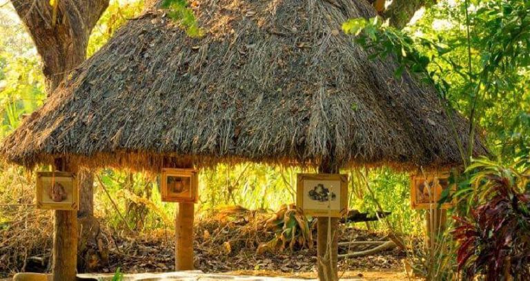 Fijian Cultural Village Tour | Go Local Fiji