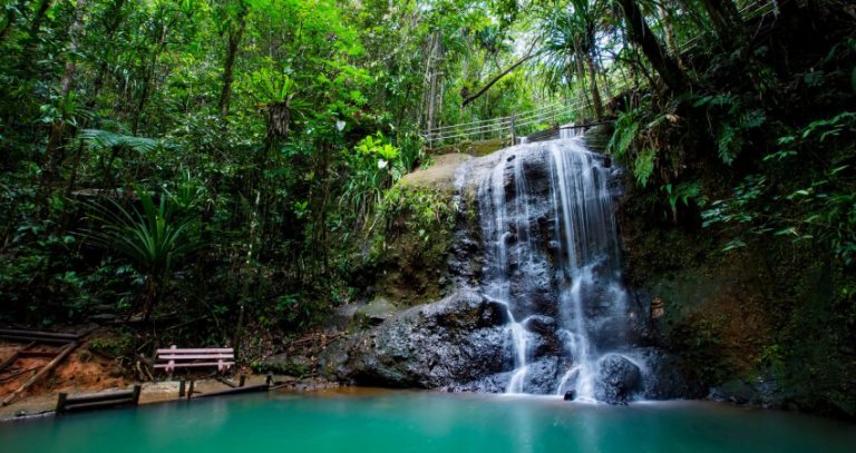 All Waterfall Tour Fiji