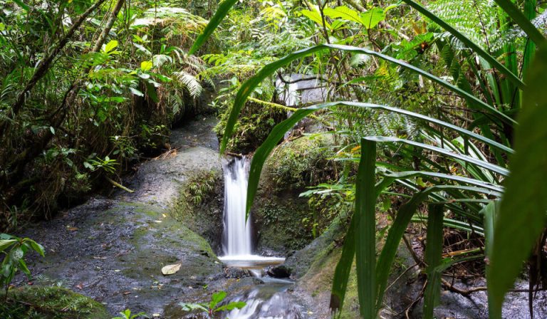 5 Hidden Waterfall Tours In Fiji For Nature Lovers