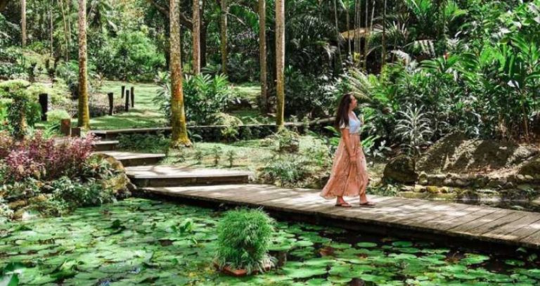 Book your 6 hour private nadi tour and explore nadi’s hidden gems.