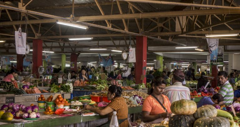 Explore Suva: Captivating 4-Hour City Tour Experience