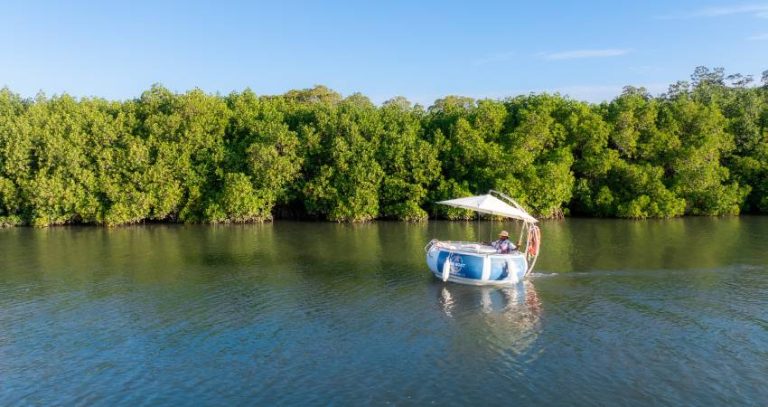 BBQ E-Boat Fiji | Self-Drive BBQ Boat Tours with Go Local Fiji
